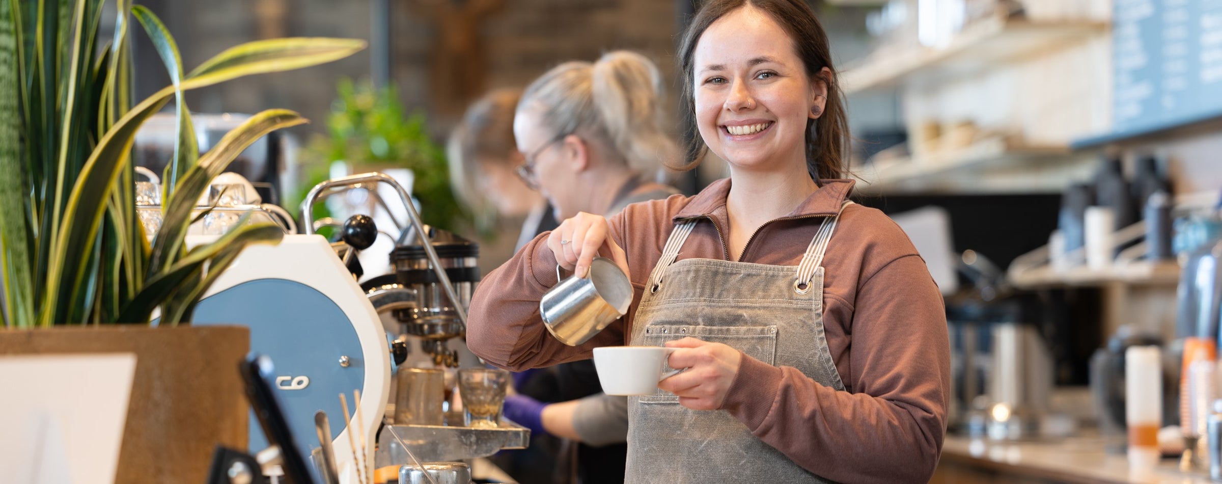 Thomas Hammer Coffee Roasters – Thomas Hammer Coffee Roasting Company
